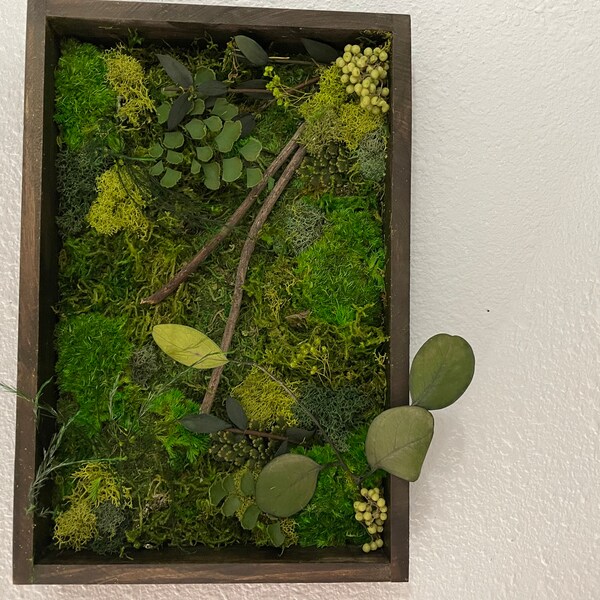 Moss Map, Preserved Moss, World Map, Nature Inside, Reindeer Moss, Cool ...
