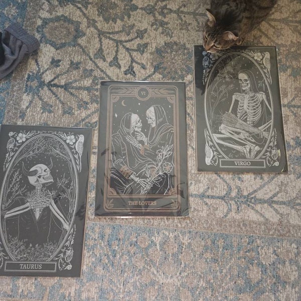 The Mirror Oracle, a 50-card Oracle Deck and Guidebook Companion to the ...