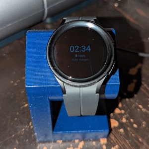 Organic Wheat Grass Grow Kit Easy Grow Wheat Grass With Decorative ...