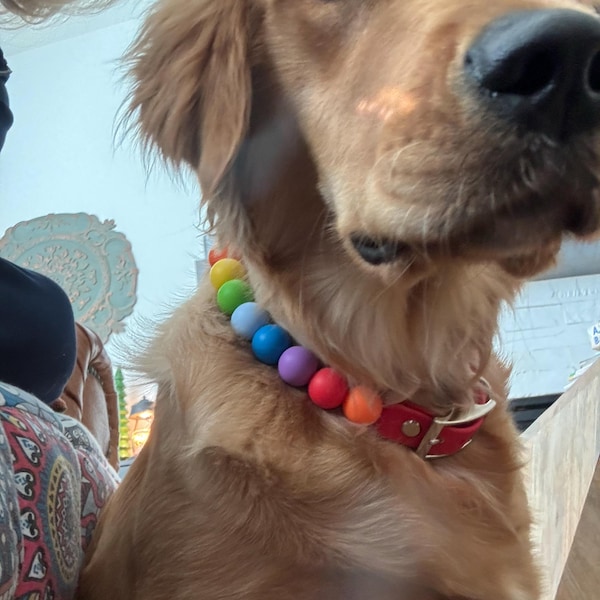 Adjustable Beaded Dog Collar,fancy Dog Necklace,waterproof Dog Collar ...