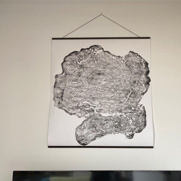 Big Leaf Maple, Tree Ring Print, Massachusetts Art, Forestpunk Art ...