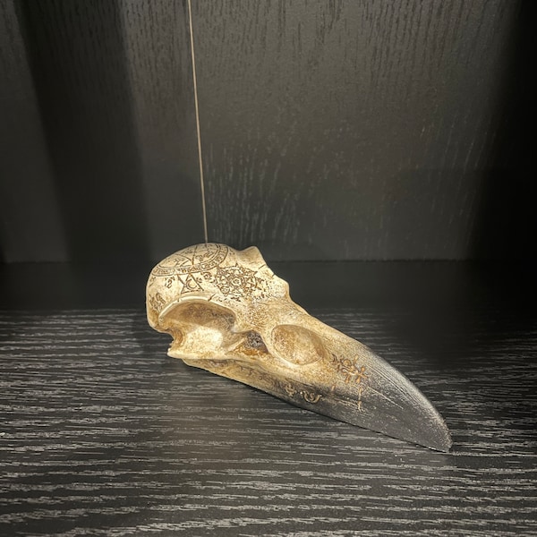Wall 3D Decor Decoration Crow Raven Bird Skull Replica Realistic ...