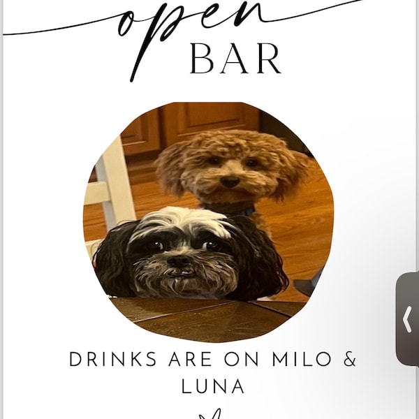 Open Bar Sign Template, Modern Minimalist Wedding Sign, Pet Photo Drink ...
