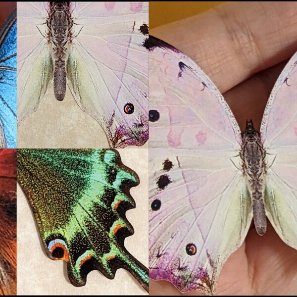 Realistic Paper Butterflies, Ready to Use Cut Outs - 10 Pieces - Etsy