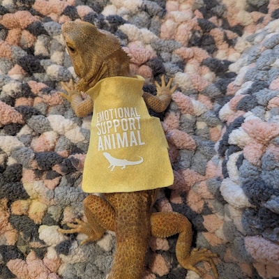 Bearded Dragon Candy Corn Costume Sweater Halloween Lizard - Etsy