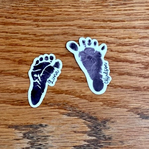 Anthropology Anthropologist Evolution Skull Hominid, Homo Sapien ...