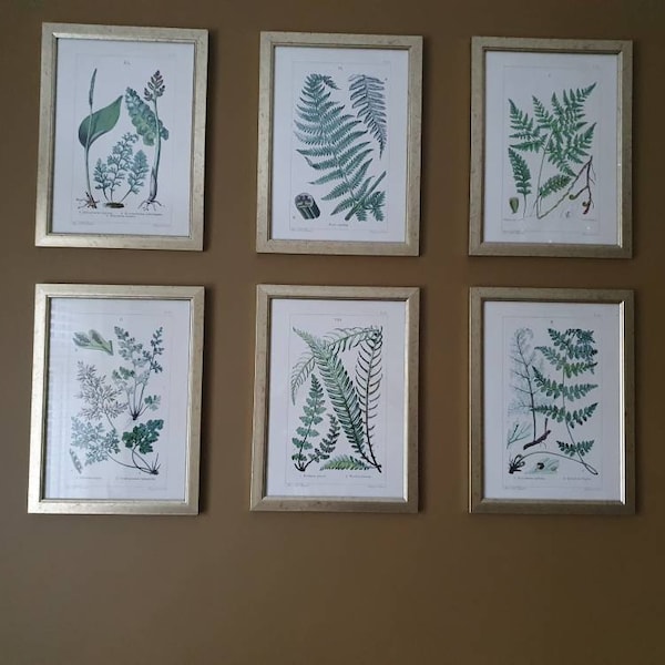 Set of 6 Botanical Fern Prints Gallery Wall 5x7 or A4 - Etsy