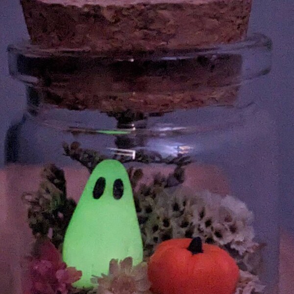 Ghost in a Jar, Ghost, Pet Ghost, Mini Art, Glass Dome, Glow in the ...
