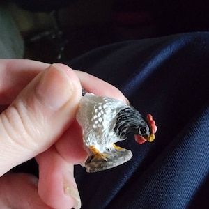 Miniature Chickens, Micro Mini Chicks, Rooster, Hens, Fairy Garden Farm ...