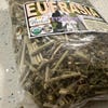 3oz Osha Root, Chuchupate, Bear Root, Ligusticum Porteri, Mountain ...