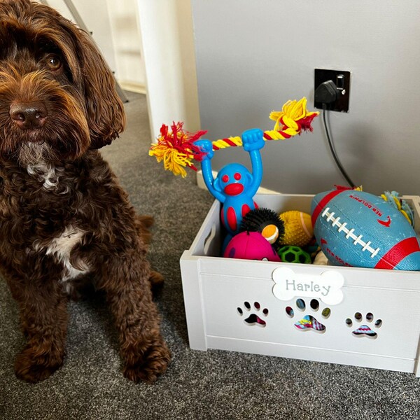 Personalised Toy Box With Lid Dog Box Gift Box Dog Crate Dog Treat ...