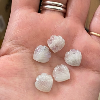 2345 Pieces Natural Rainbow Moonstone Shell Carved - Etsy