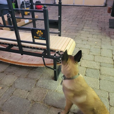 Pawpaws Dog Treadmill for Large Dogs, Medium Dogs. Dog Pacer Treadmill ...