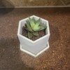 Hexagon Planter Hexagon Pot Hexagon Vase Planter Hexagon Planters ...