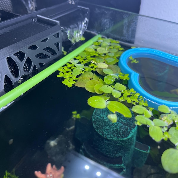 Finnex Stingray Original LED Light Riser, Attractive Stable Elevated ...