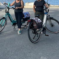 Bikybag Model M Bicycle Double Pannier Cycle Bag Bike Shopping ...