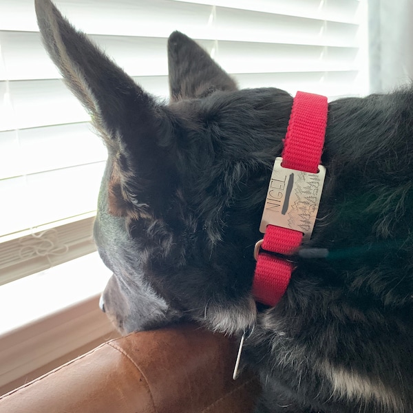 No Noise Dog Tag