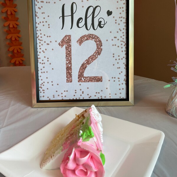 Rose Gold 12th Birthday Sign, Hello 12, Cheers to 12 Years, Rose Gold ...