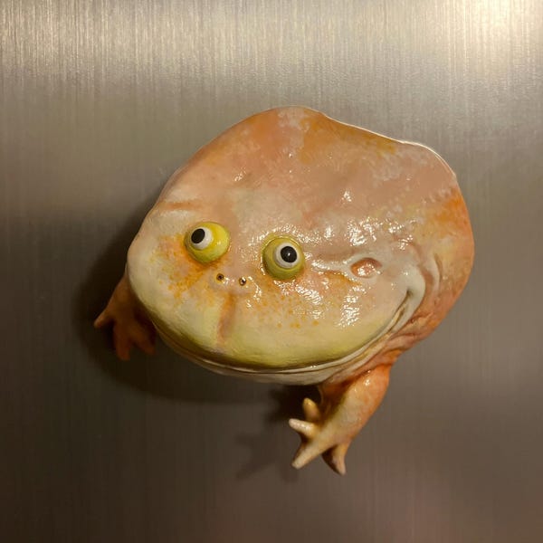 Sad Avocado Realistic Black Rain Frog Friend Deskpal - Etsy Canada