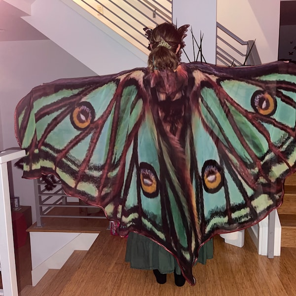 Luna Moth Chiffon Cape: Adult Dance Wings, Burning Man Costume - Etsy