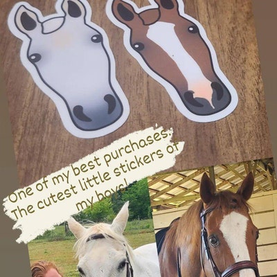 Custom Horse Sticker, Horse Stickers, Gift for Equestrian, Horse Gifts ...