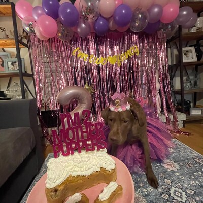 Drama Masks Cupcake Toppers, Comedy Tragedy Cupcake Toppers, Film ...