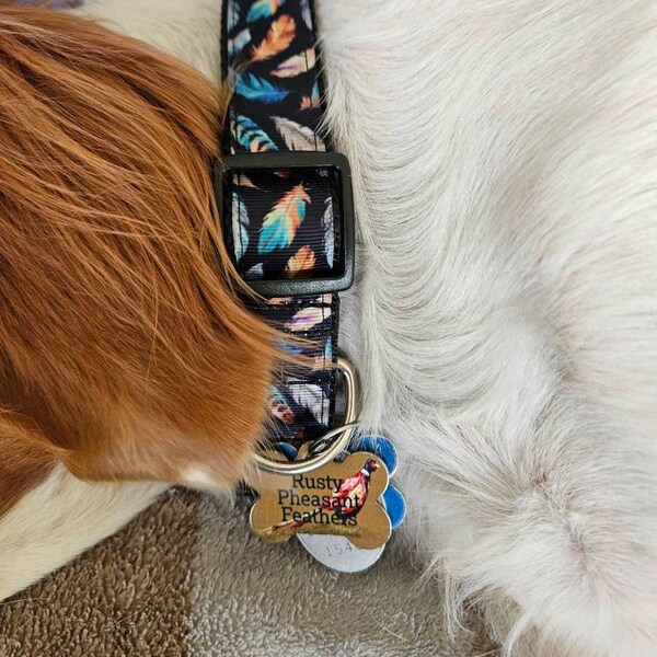 Dog Collar Background Color Add-on - Adjustable Dog Collar - Summer Dog ...