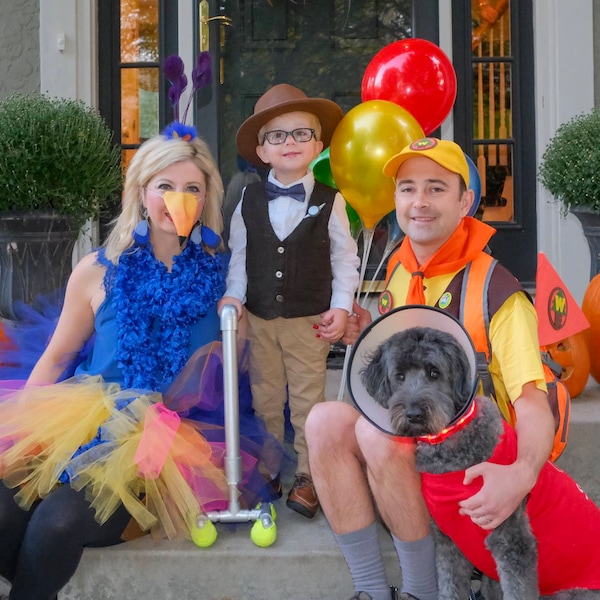 KEVIN the SNIPE From UP | Purple Peacock, Yellow, Orange Feather | Bird ...