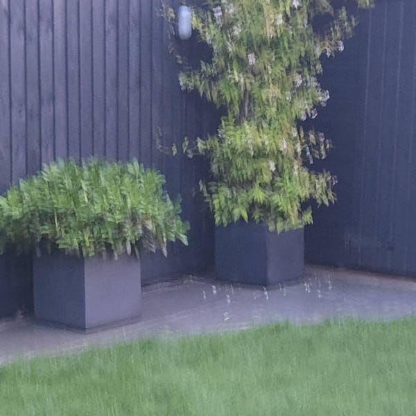 Black Square Outside Planter 50cm, Modern Concrete Cuboid Pot for Trees ...