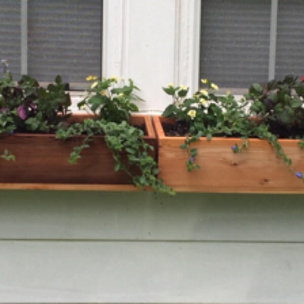Cedar Box Window Planter, Assorted Sizes, Natural, Ready to Plant ...