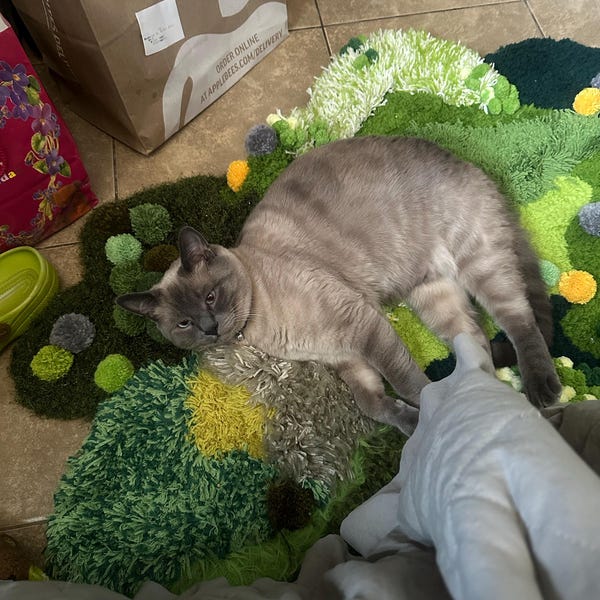 Forest Cat Punch Needle Kit for Beginner,diy Punch Embroidery Full Kit ...