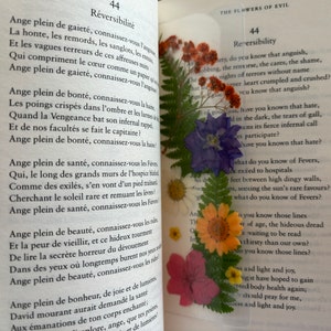 Forget Me Not Bookmark Real Dried Flowers Gift for Reader Bookmark for ...