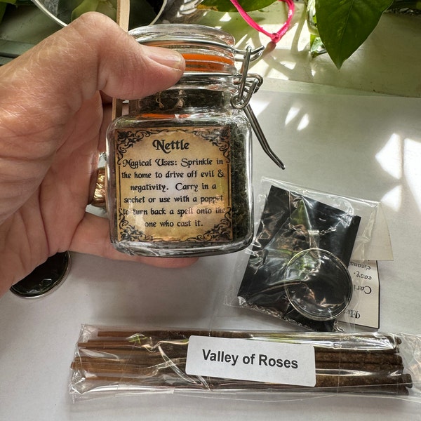 Nettle Herb & Jar - Etsy