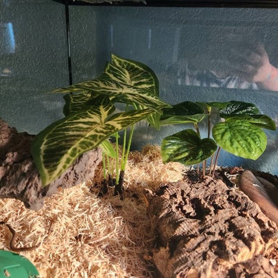 Plastic Moss Pads: Artificial Aquarium Plants Reptile Terrarium Plants ...