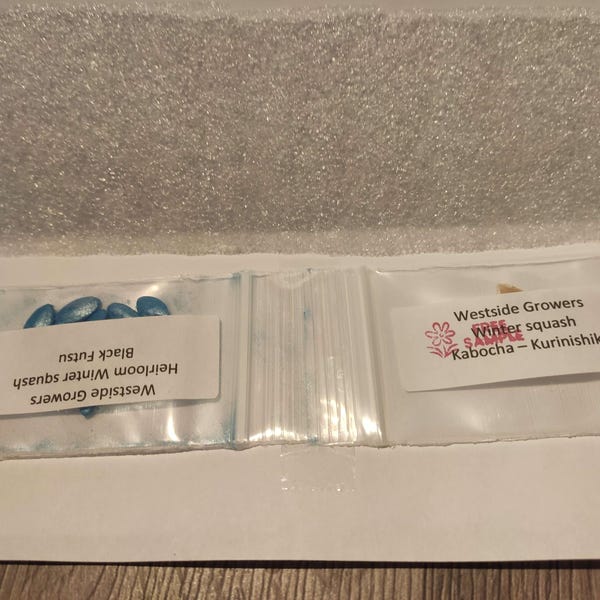 10 Heirloom Japanese Black Futsu Squash Seeds - Unique ! Fall ! Asian ...