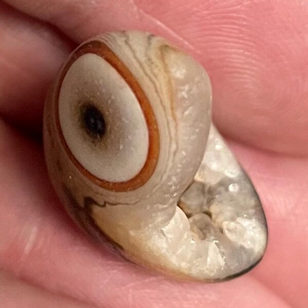 Natural Gobi Agate Palm Stone, Eye's Agate Stone, Colourful Agate ...