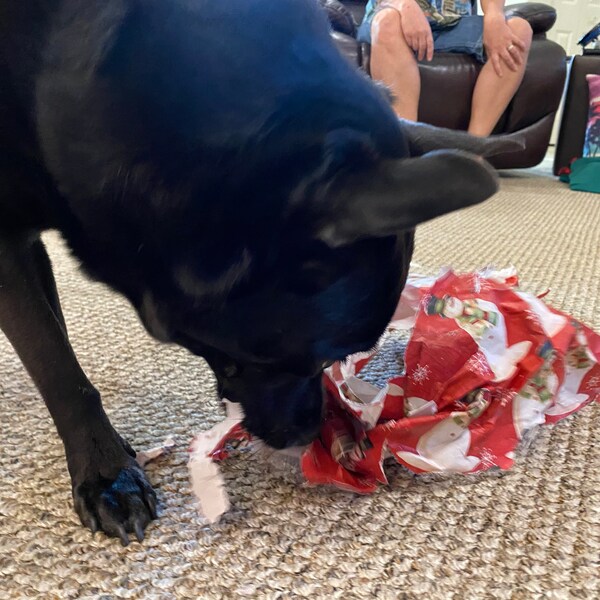 Sustainable Fire Hydrant Canvas & Jute Chew Toy for Dogs - Etsy