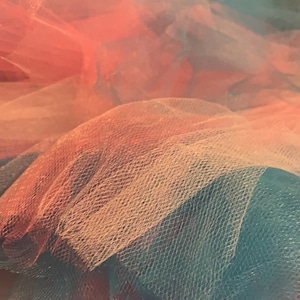 LGBTQ Tutus Pride Parade Transgender, Pansexual, Asexual, Non-binary ...