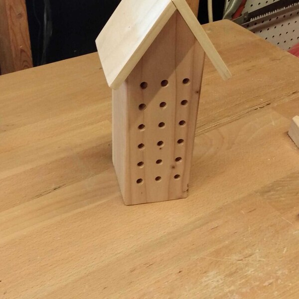 Scrap Wood Project Mason Bee House Plans, Native Bee House, Attracts ...