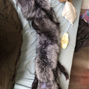 3 Colours Tanned Genuine Fox Pelts Almost 50 Inch . Extra Large,animal ...