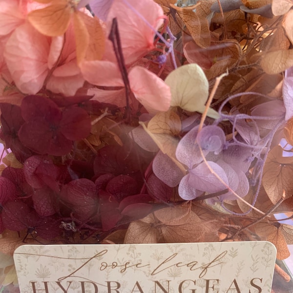 High Quality - Box of Loose Leaf Preserved Hydrangeas | Dried Flower ...