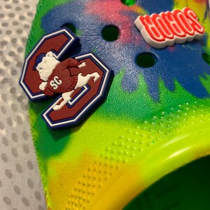 FAMU COLAC Iron-on Patch - Etsy