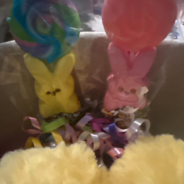 Easter Candy Gifts FAST SHIPPING Assorted Styles, You Choose - Basket ...