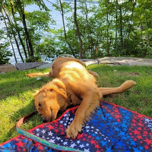 Roly Poly Sticker Set 3 Vinyl Silkscreen Stickers by Mab - Etsy