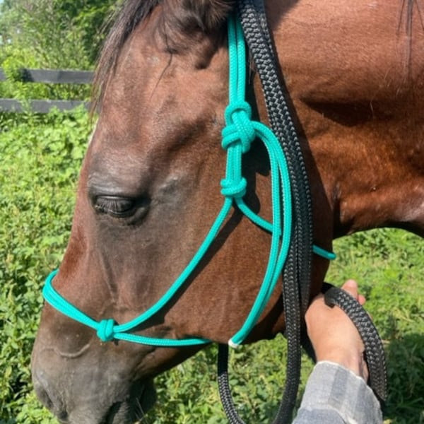 Rope Halter & Mecates - Natural Horsemanship Hackamore - 21 Colors - 2 ...