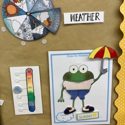 Cat Unit Study - Etsy