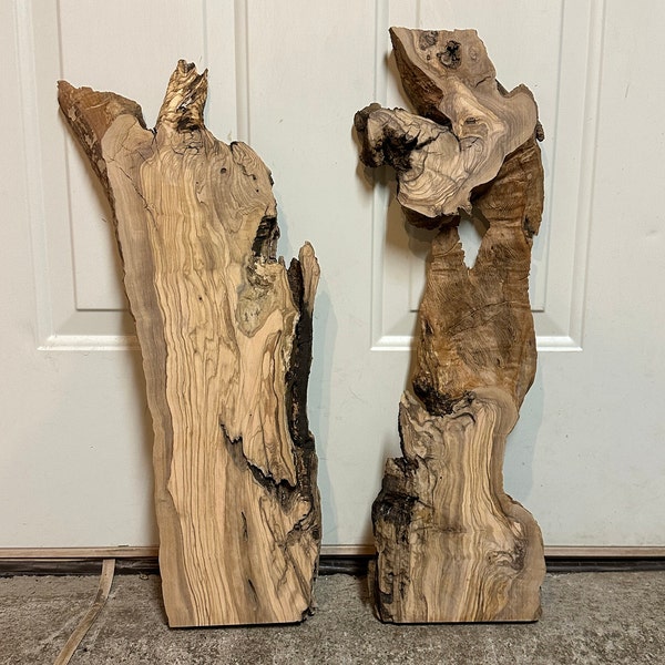 Unique Wood Slice Wood Raw Edge Resin Handmade Turkish Wood Planks Live ...