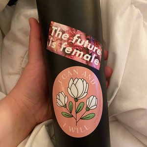 Feminist Vinyl Sticker the Future is Female Girl Power Pink Illustrated ...