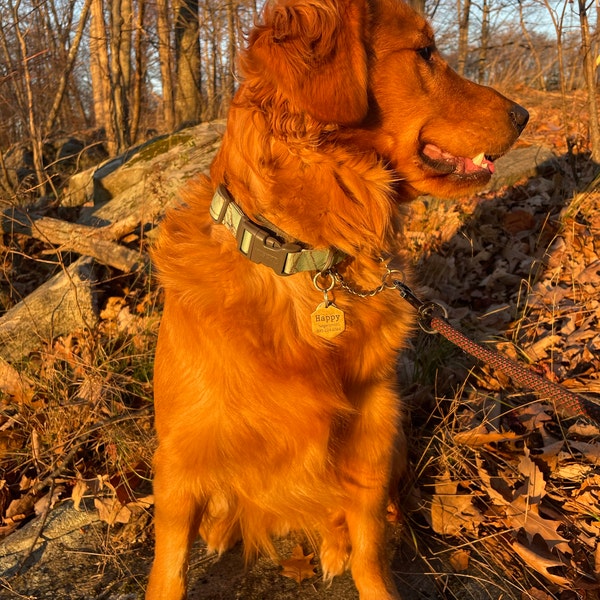 QR Code Pet Tag • Scannable Pet Tag • Digital ID Tag • Custom Pet Tag ...