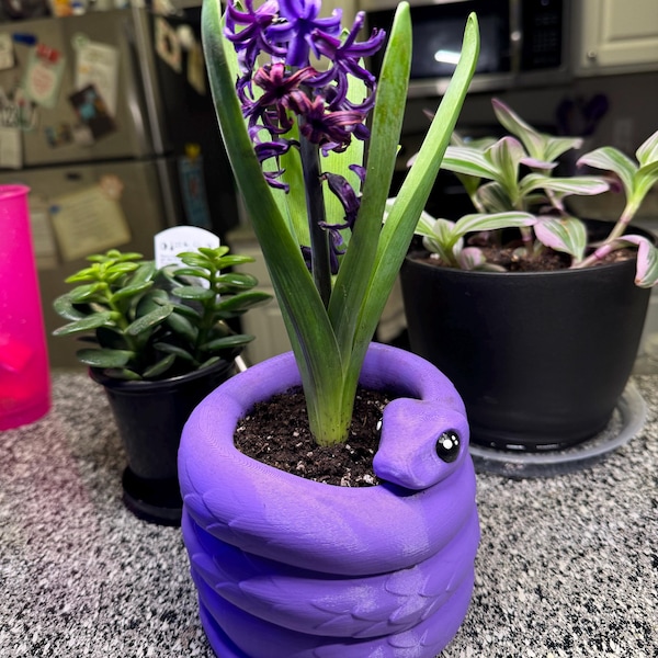 Snake Planter - Snake Plant Pot With Drainage - Cute Snake Planter ...